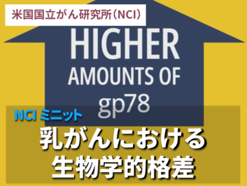 乳がんにおける生物学的格差：NCIミニット | がん治療・癌の最新情報リファレンス